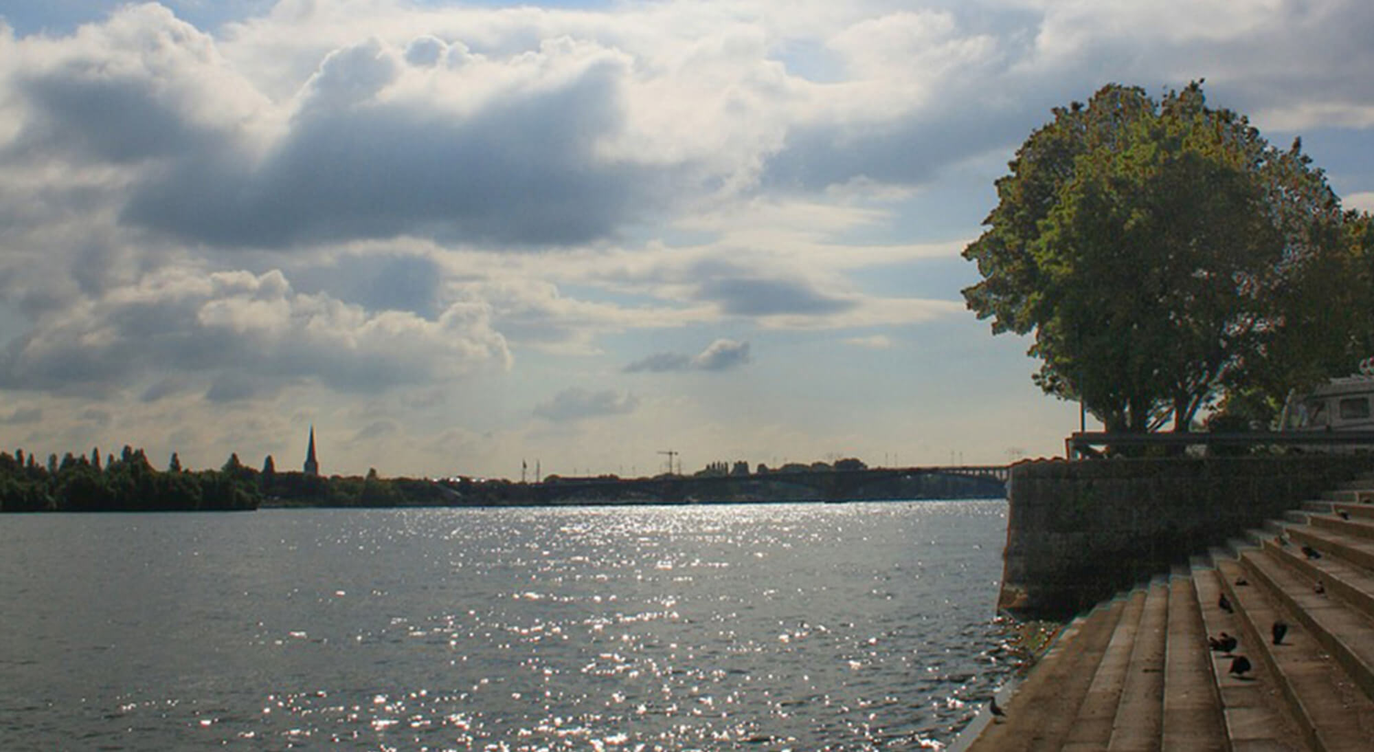 10 Highlights in Mainz & Rheinhessen - Great Wine Capitals